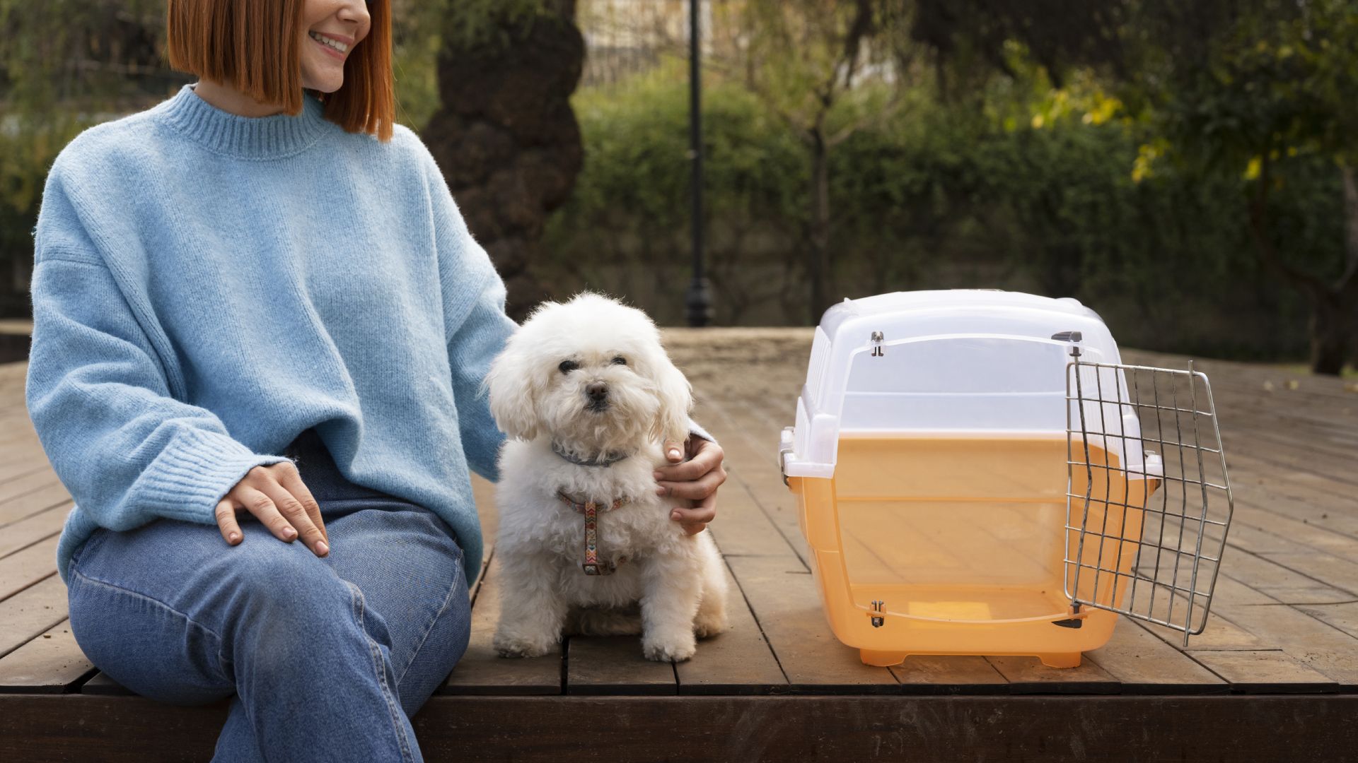 Chester, CA Veterinary Services | Chester Veterinary Clinic